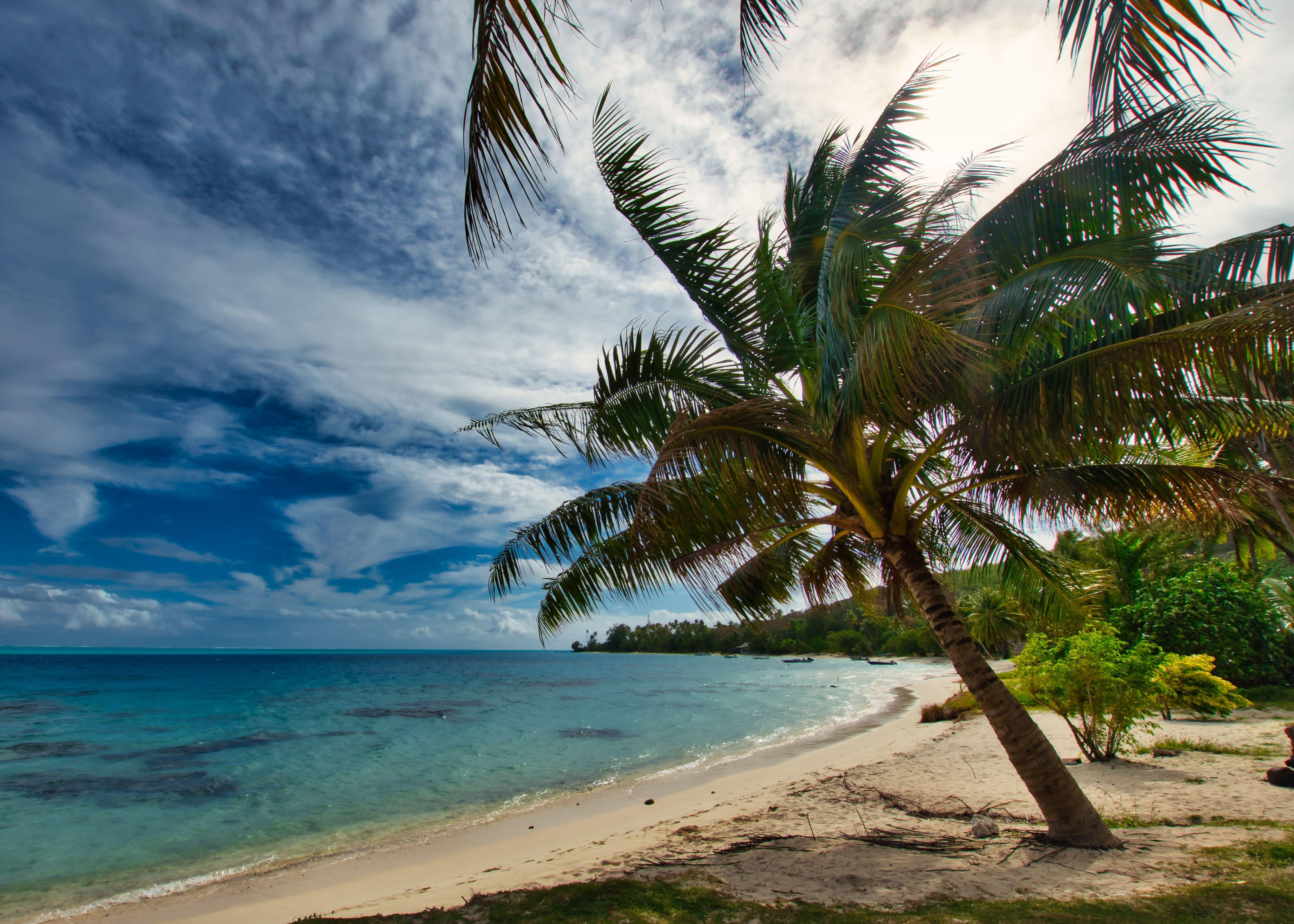Consejos para tu Viaje a Bora Bora: Todo lo que Debes Saber
