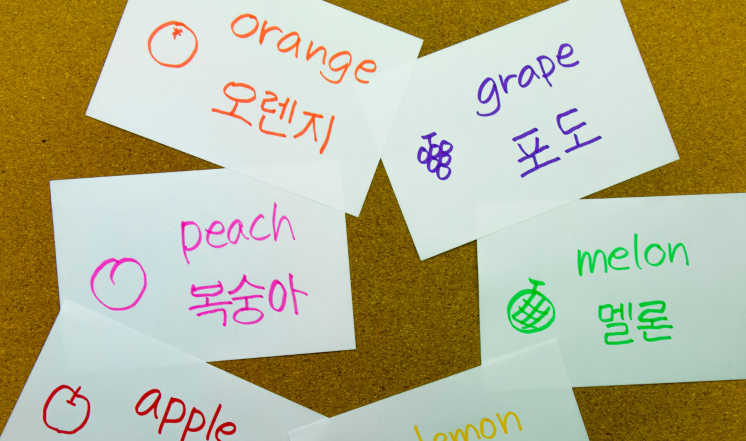 Las frases clave para hablar coreano | Superprof